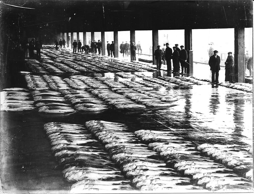 Hartlepool History Then & Now